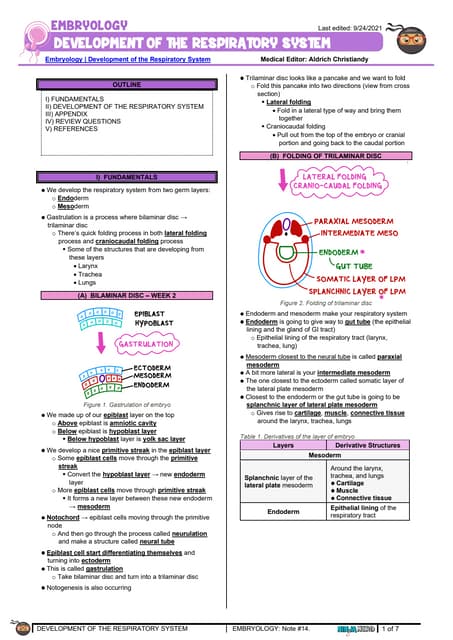 Development of respiratory system | PPTX
