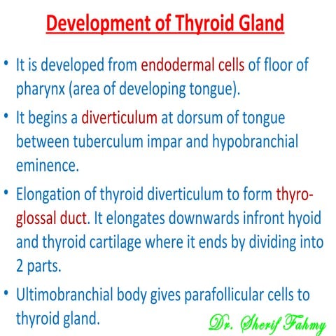 Development of Thyroid Gland (Special Embryology) | PPS