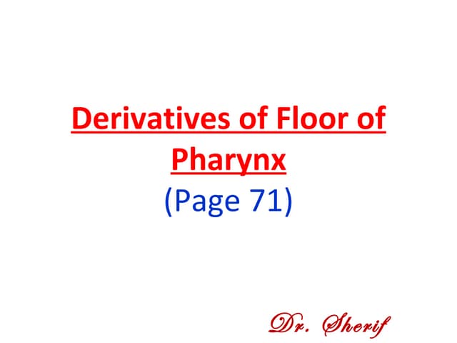 Development of Thyroid Gland (Special Embryology) | PPS