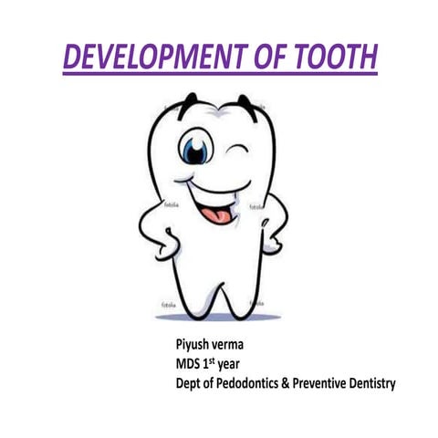 Development of tooth | PPTX