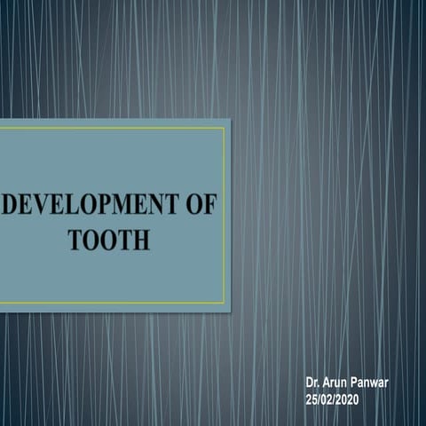 Development of tooth Part 2 | PPTX