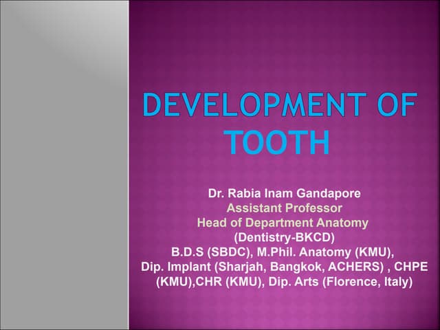 difference between primary and secondary tooth | PPTX | Dental Health | Diseases and Conditions