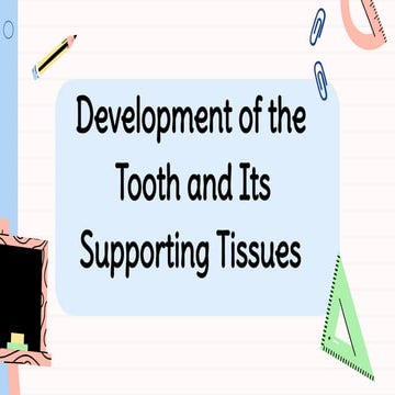 Development of tooth & It's supporting tissue.pdf