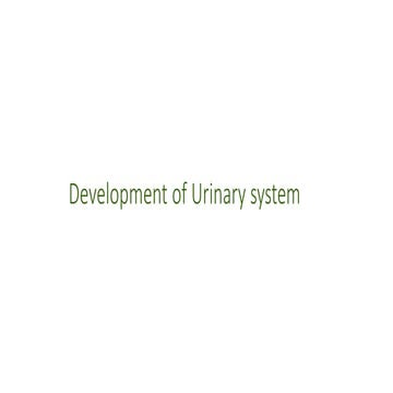 develo pment of uri nary system .pptx