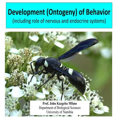 DEVELOPMENT (ONTOGENY) OF BEHAVIOUR (2020)_031255.pdf