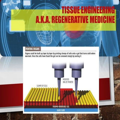 Development tissueengineering | PPT