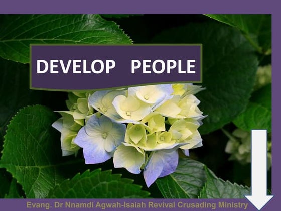 WingRiders Flyer Color PDF | PDF