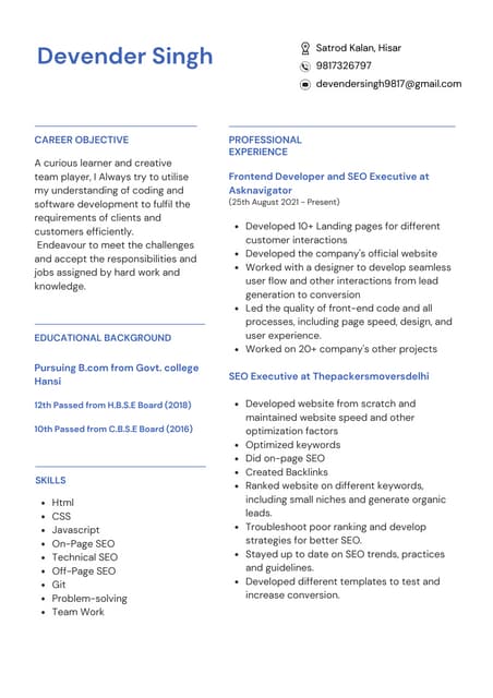 Professional CV Resume.pdf