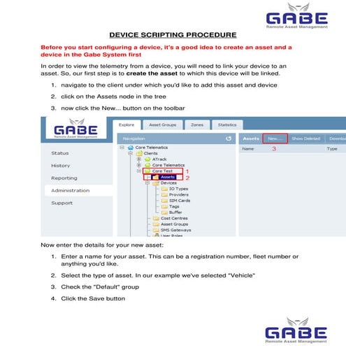 Gabe RAM Device Scripting Procedure and setup manual | DOCX