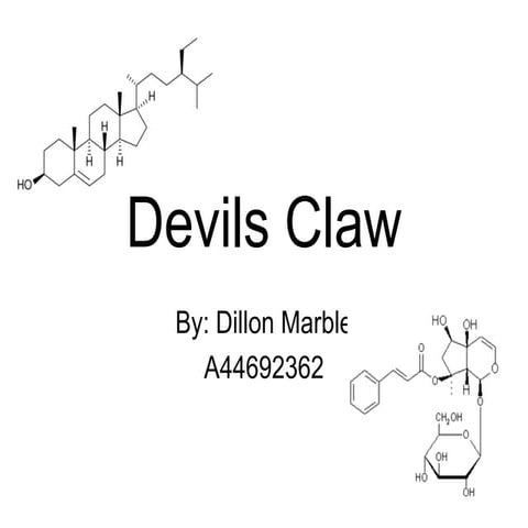 Devils claw | PPT