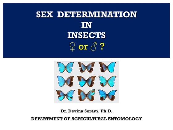 Different Sampling Techniques For Insect Population Estimation Pdf
