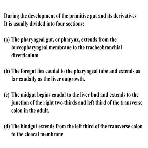 development of Gastro-intestinal system. pptx | PPTX
