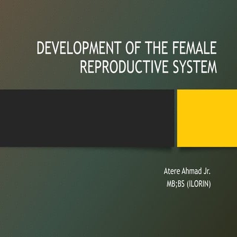 Development of the female reproductive system | PPT