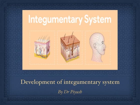 Integumentary development -Embryology.ppt