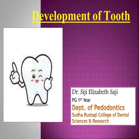 Development of tooth | PPTX