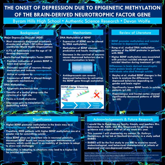 Epigenetic Mechanisms involved in Depression.pptx