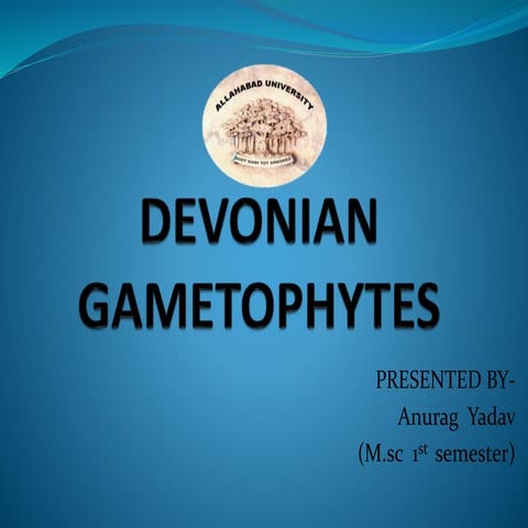 Devonian gametophytes by Anurag Yadav | PPTX