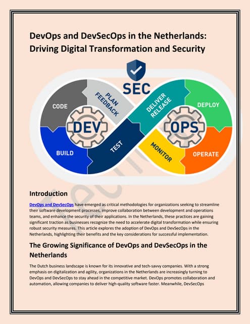 Devops And Devsecops In The Netherlands Driving Digital Transformation