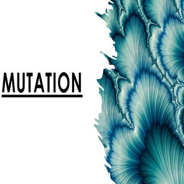 Dev Presentation Pdf