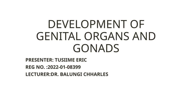 Development of gonads (Gonad differentiation)male gonad and female ...