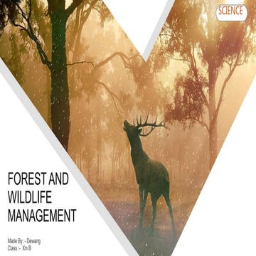 Forest and wildlife management | PPTX