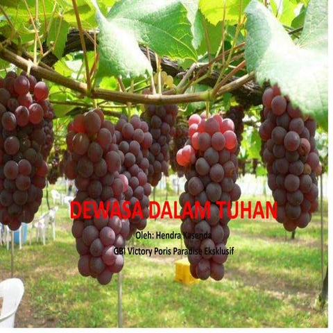 Dewasa or bayi rohani | PPTX