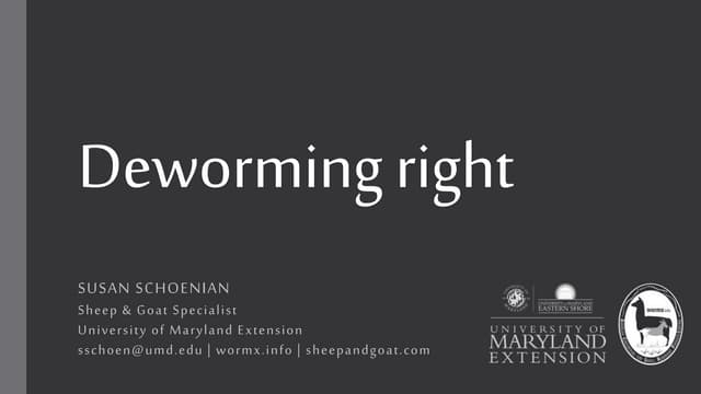 The Five Point Check® | PPTX