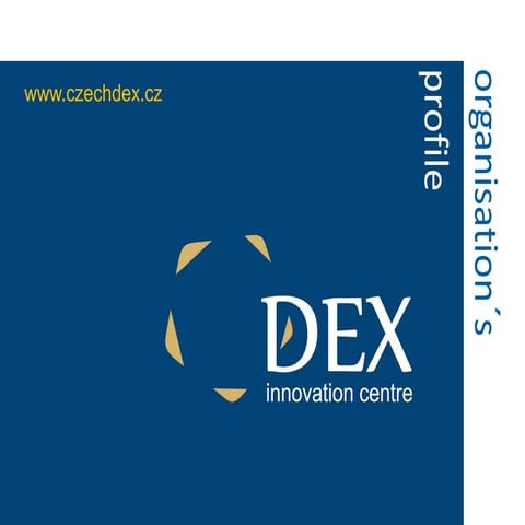 DEX Innovation Centre at a glance | PDF