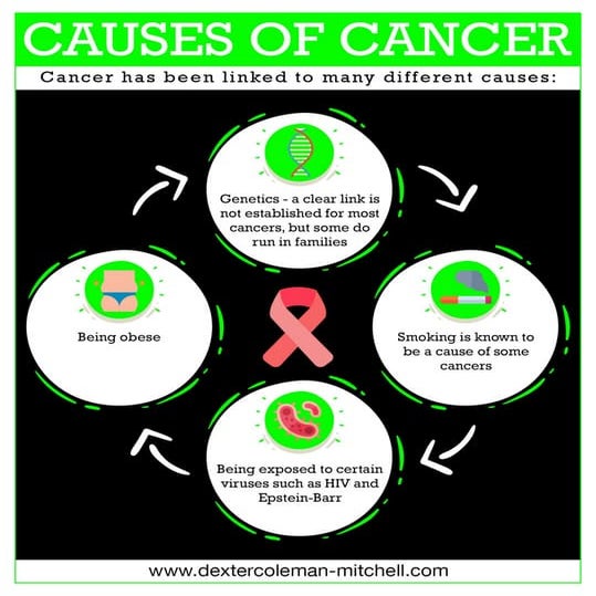 Causes of Cancer | PDF