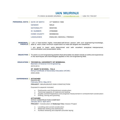 cv Ian | PDF