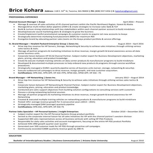 Resume Danny Lajer | PDF