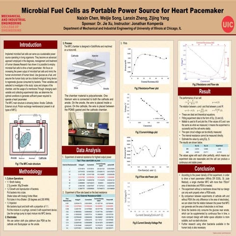 MFC EXPO Poster | PDF