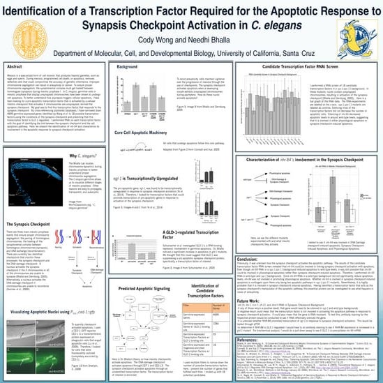 Research Poster | PPT