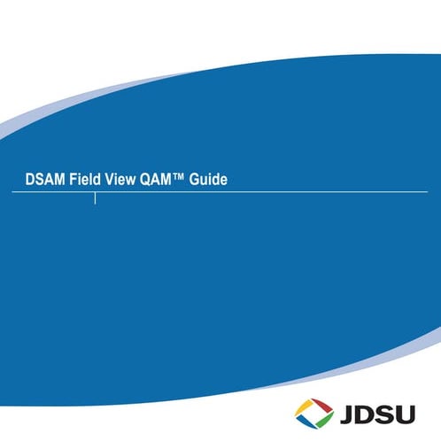 DSAM_Field_View__QAM_Quick_Guide_EN.PDF