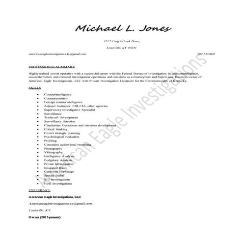 Resume 2016 AEI Owner | PDF