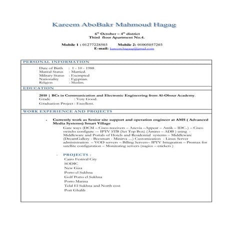 Eng.Kareem C.V | PDF