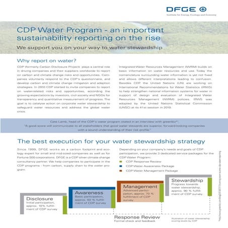 DFGE | CDP Water | Services | PDF