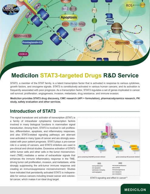 Medicilon KRAS-targeted Drugs R&D Service.pdf
