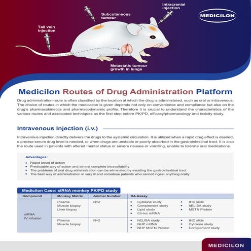 Medicilon Routes of Drug Administration Platform | PDF