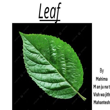 Morphology of Leaf with special reference to leaf shape, surface ...