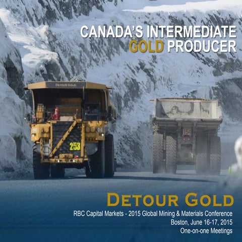 Dgc 15 06_16-17 - rbc conference | PPT