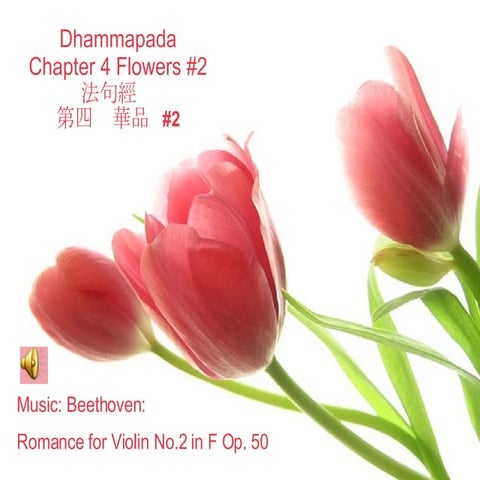 The Flower ( In English & Chinese ) #2 | PPT