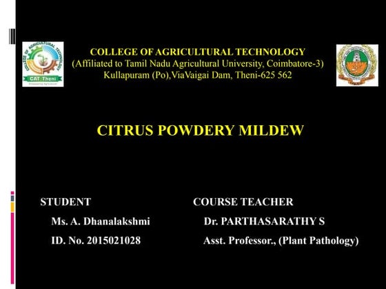 Capnodium symptoms, host range, taxonomy and life cycle of capnodium ...