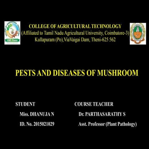 Dhanuja 2015021029 | PPT