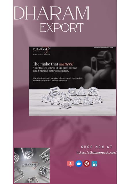 Dharam Export India Pvt Ltd presentations