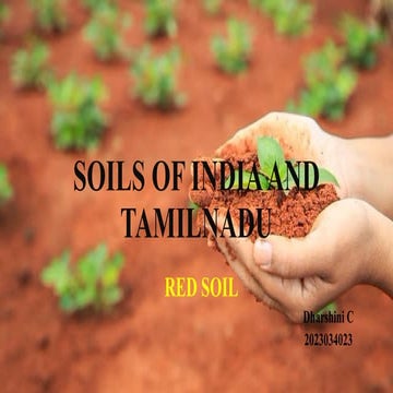 Different Types Of Soils In Odisha And What Type Of Organic Farming Can ...