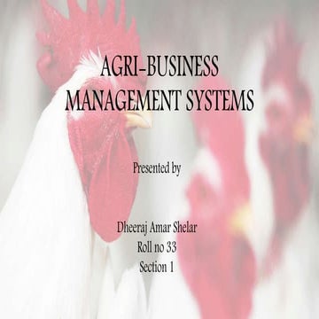 Poultry Business Plan Analysis | PPTX