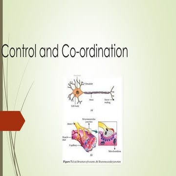 CONTROL AND CO-DINATION | PPT