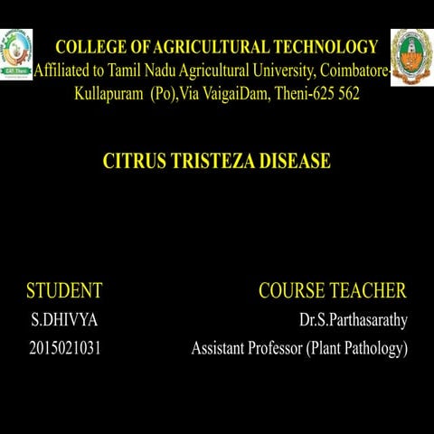 CITRUS TRISTEZA DISEASE | PPTX