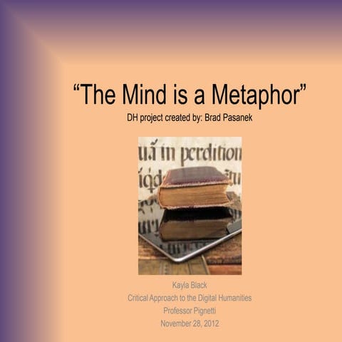 DH Metaphor Project Presentation | PPT